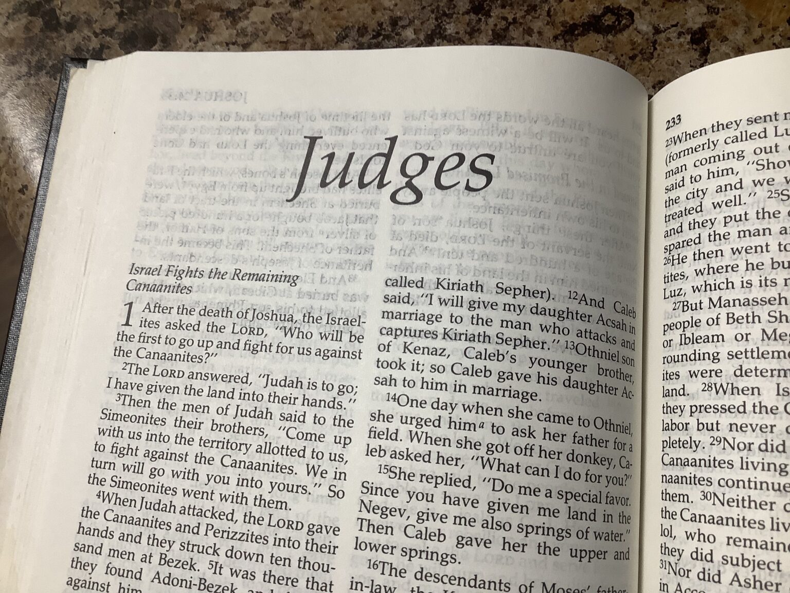 The Book of Judges Bible Study - Seek the Gospel Truth